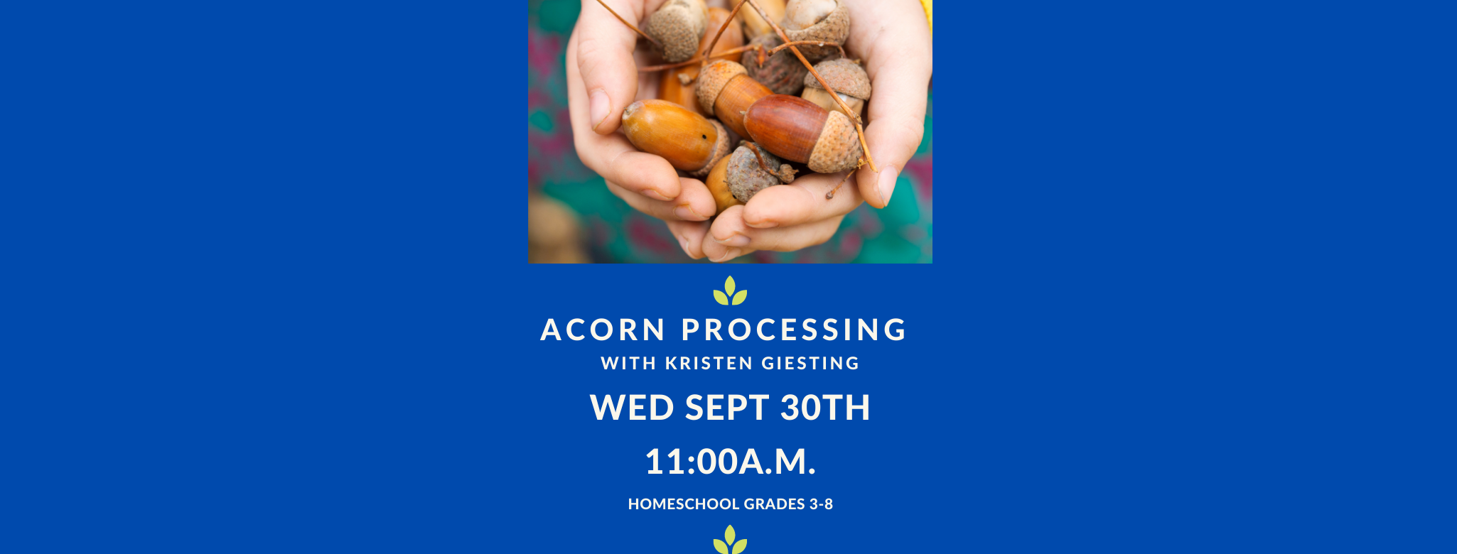 Acorn Processing Banner – Batesville Memorial Public Library
